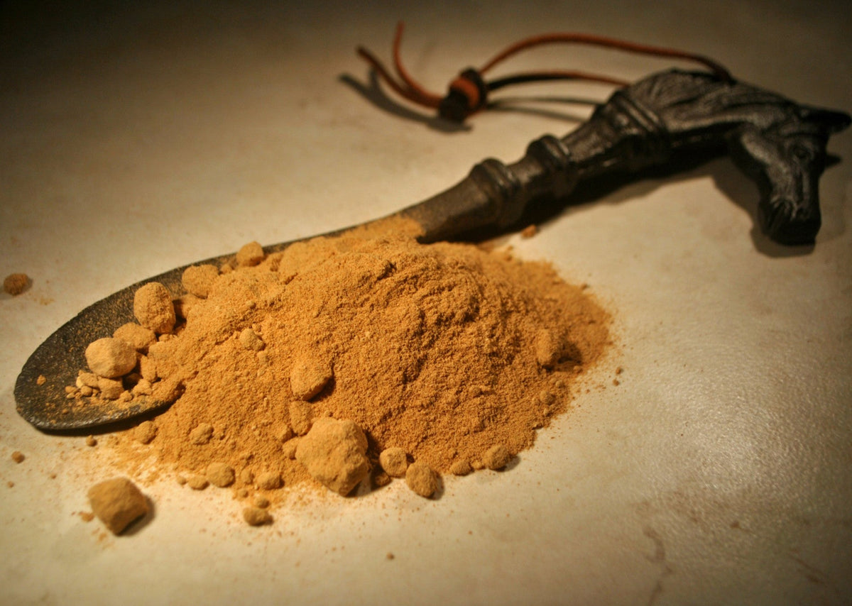 Elecampane POWDER – Wild Horse Products
